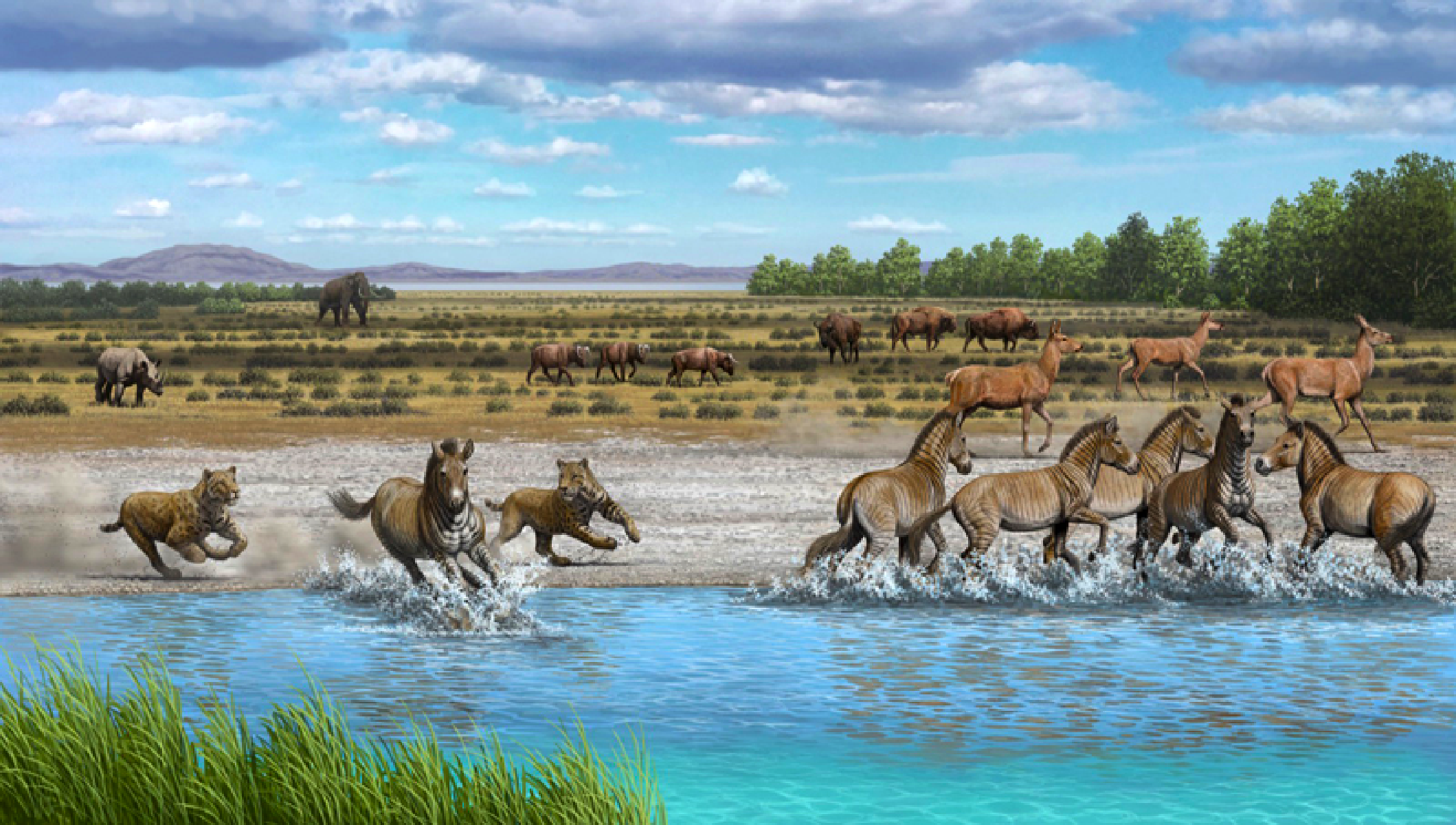 Orígenes del caballo: Equus- Arre caballo!