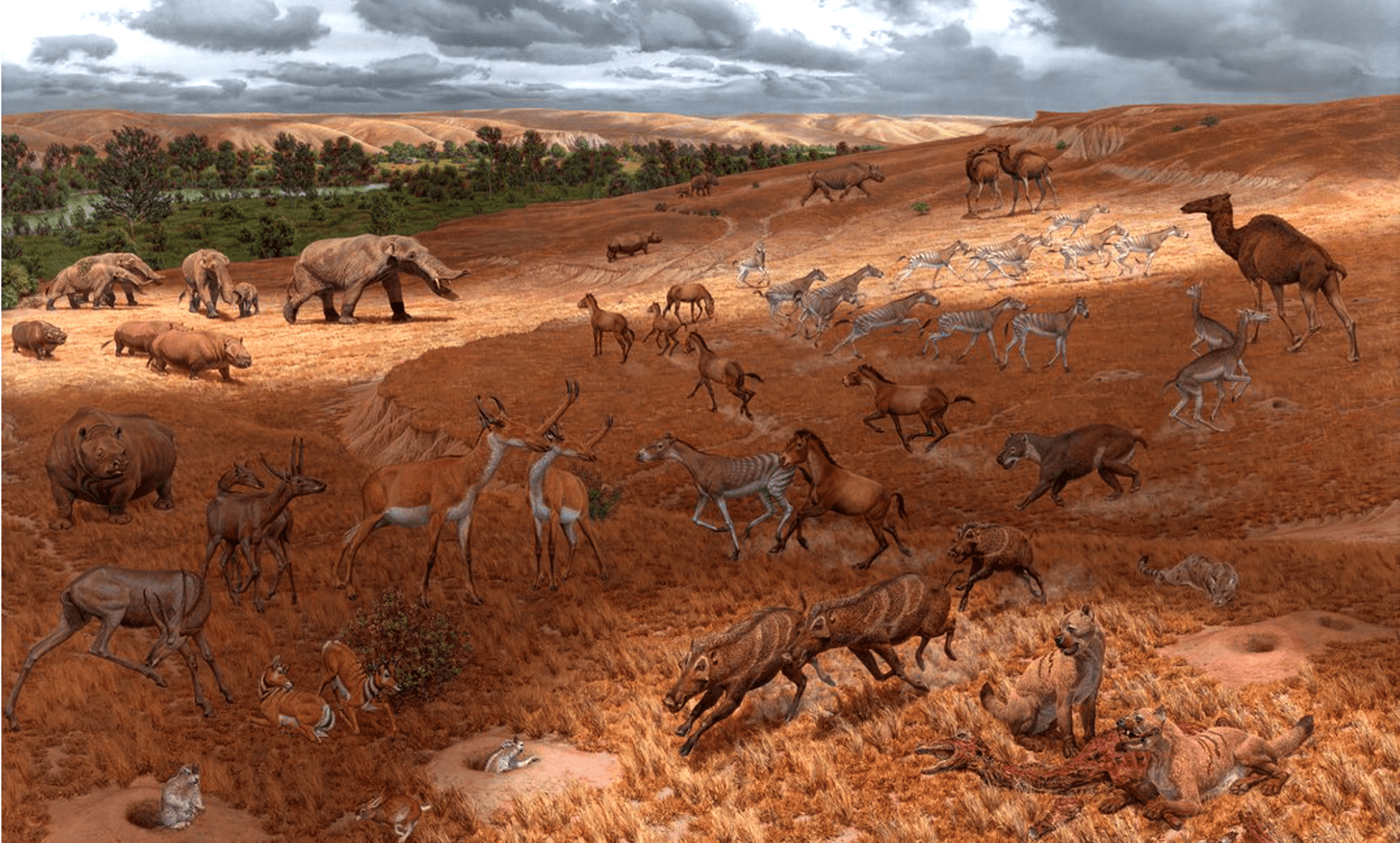 Orígenes del caballo: Pliohippus - Arre caballo!