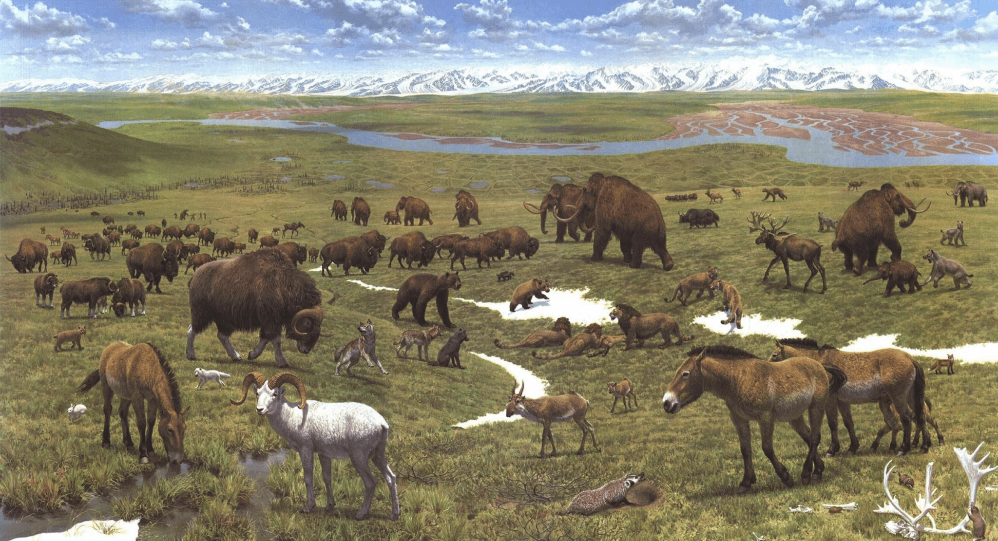 Orígenes del caballo: Equus- Arre caballo!