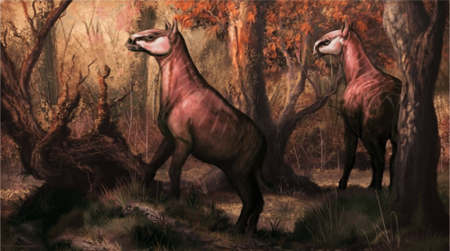 Orígenes del caballo: Orohippus - Arre caballo!