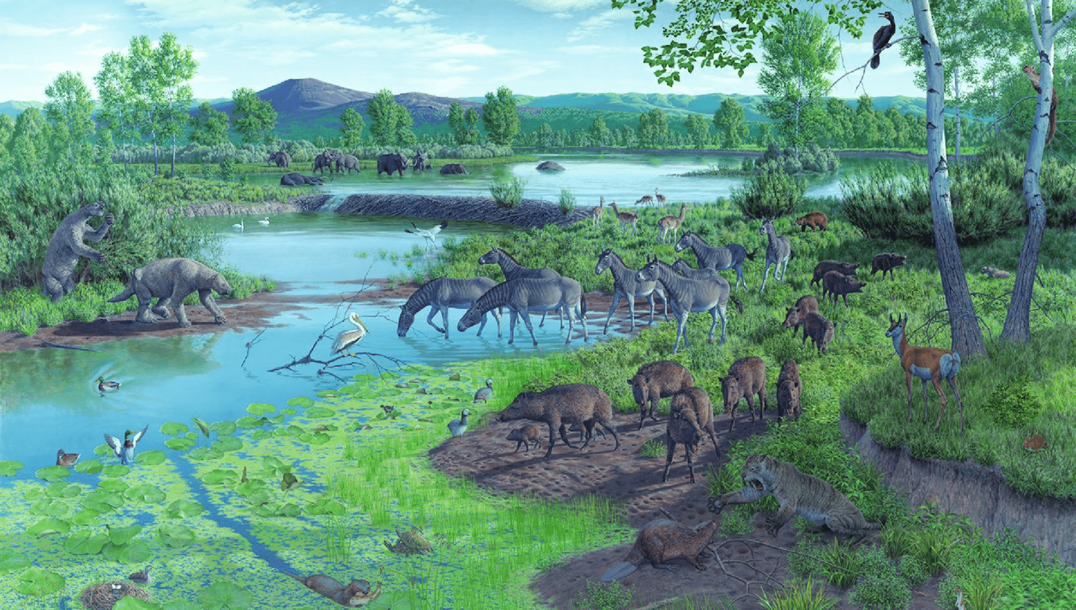 Orígenes del caballo: Pliohippus - Arre caballo!